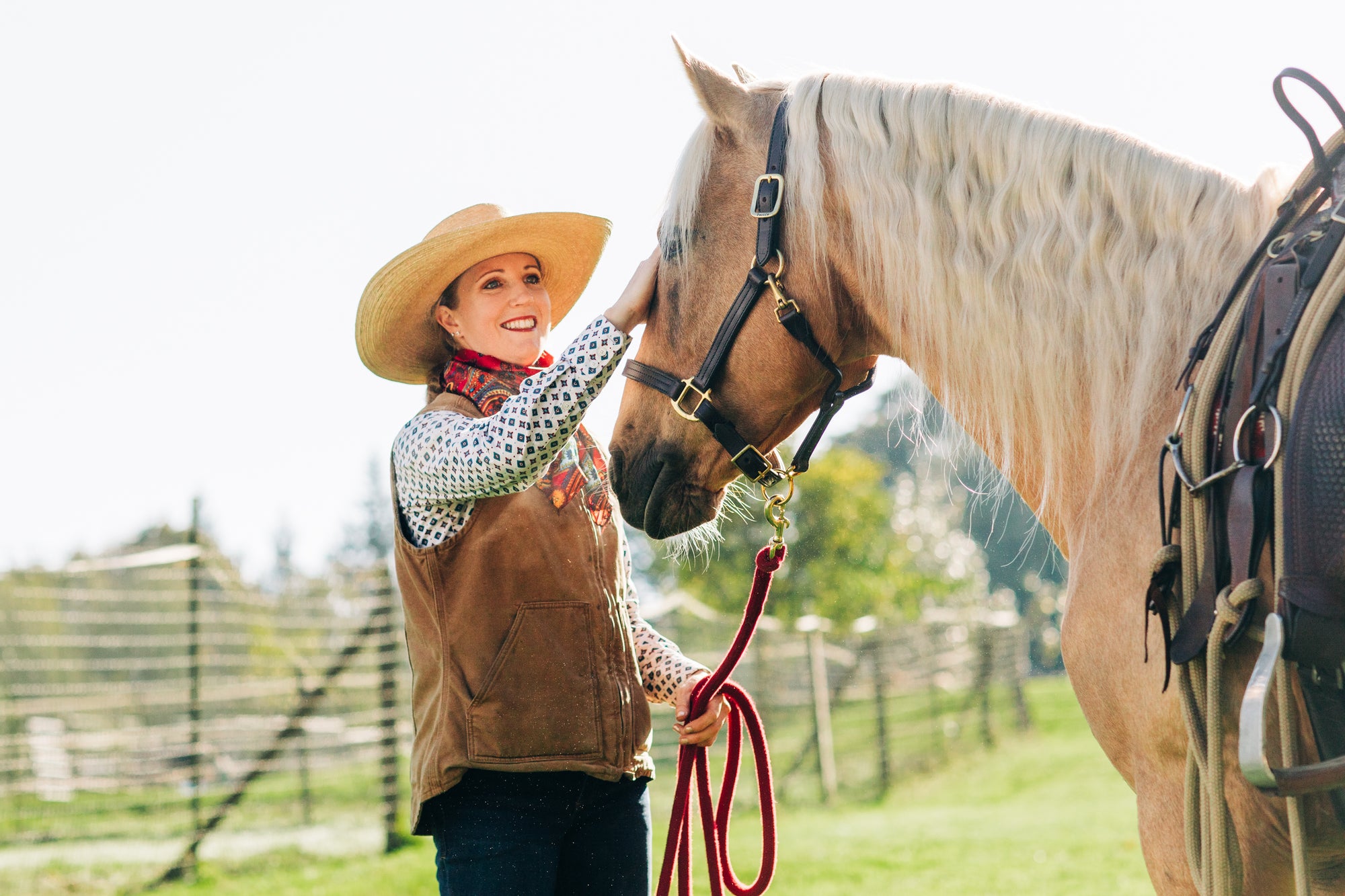 Essential Equine Supply Checklist for New Horse Owners – Cascada