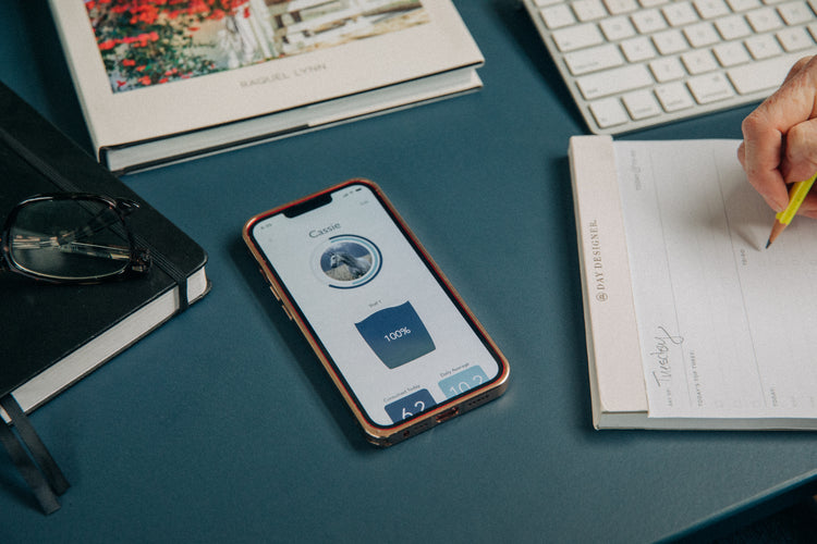 Cascada Uses IOT Technology to Reinvent Equine Automatic Waterers