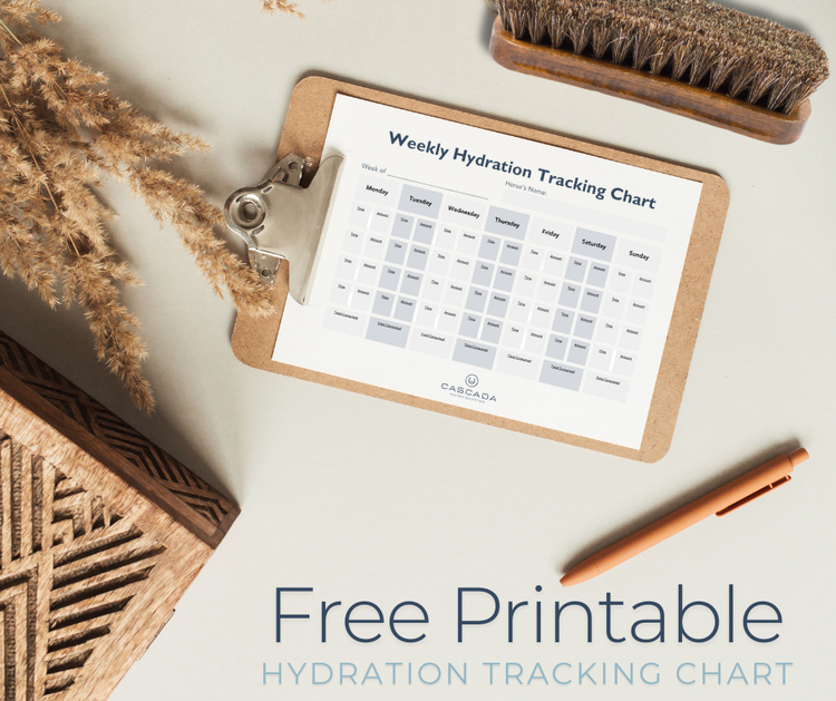 Free Tracking Chart To Monitor Your Horses' Drinking Habits – Download ...