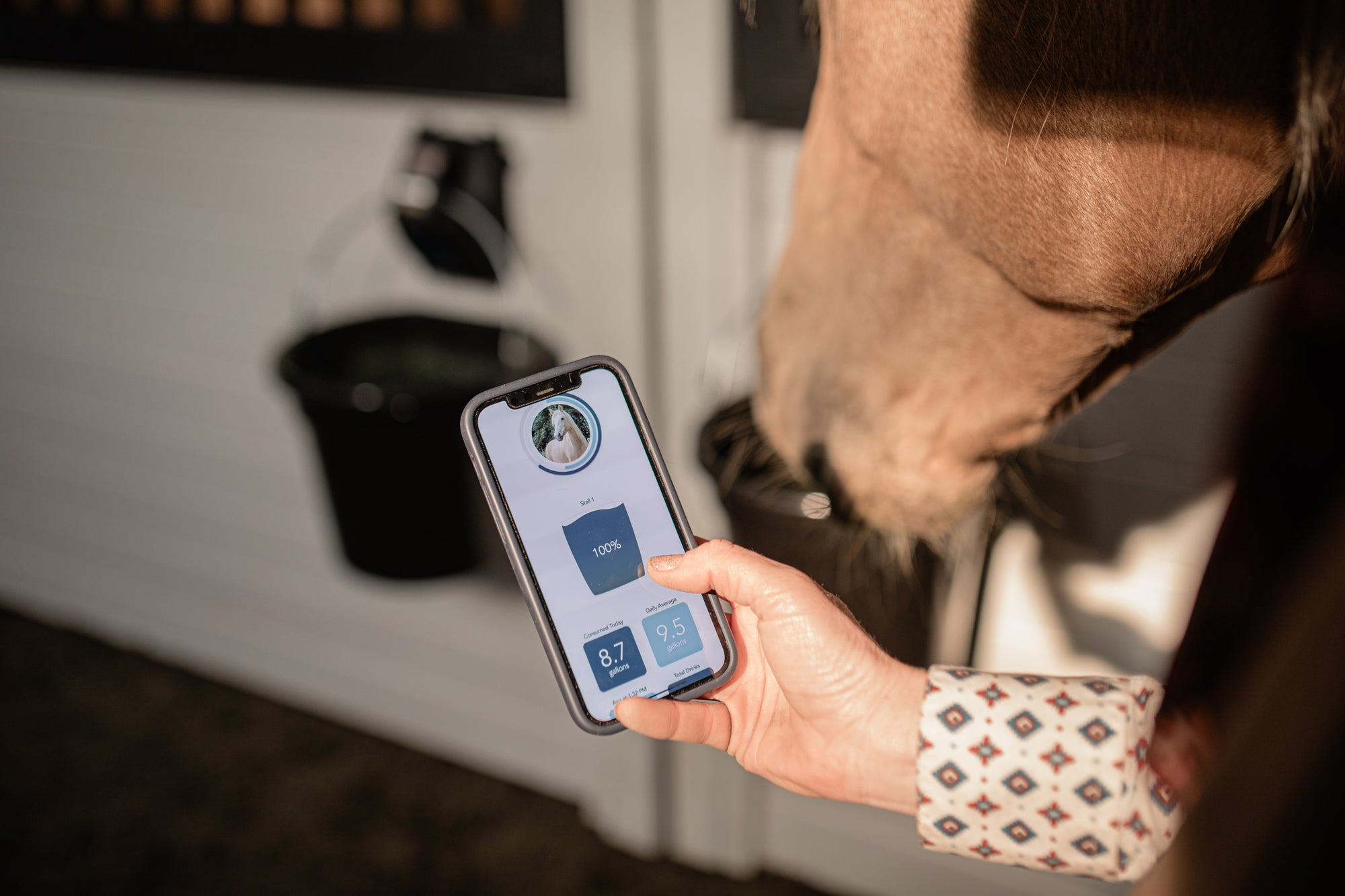 Cascada Automatic Horse Waterer